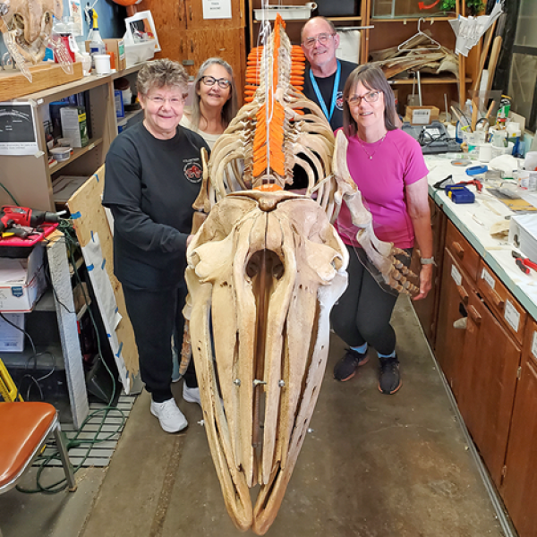 Exhibits at Hatfield Visitor Center | Oregon Sea Grant | Oregon State ...