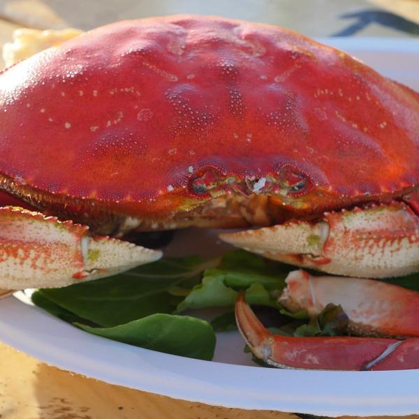 Oregon Seafood Recipes | Oregon State University